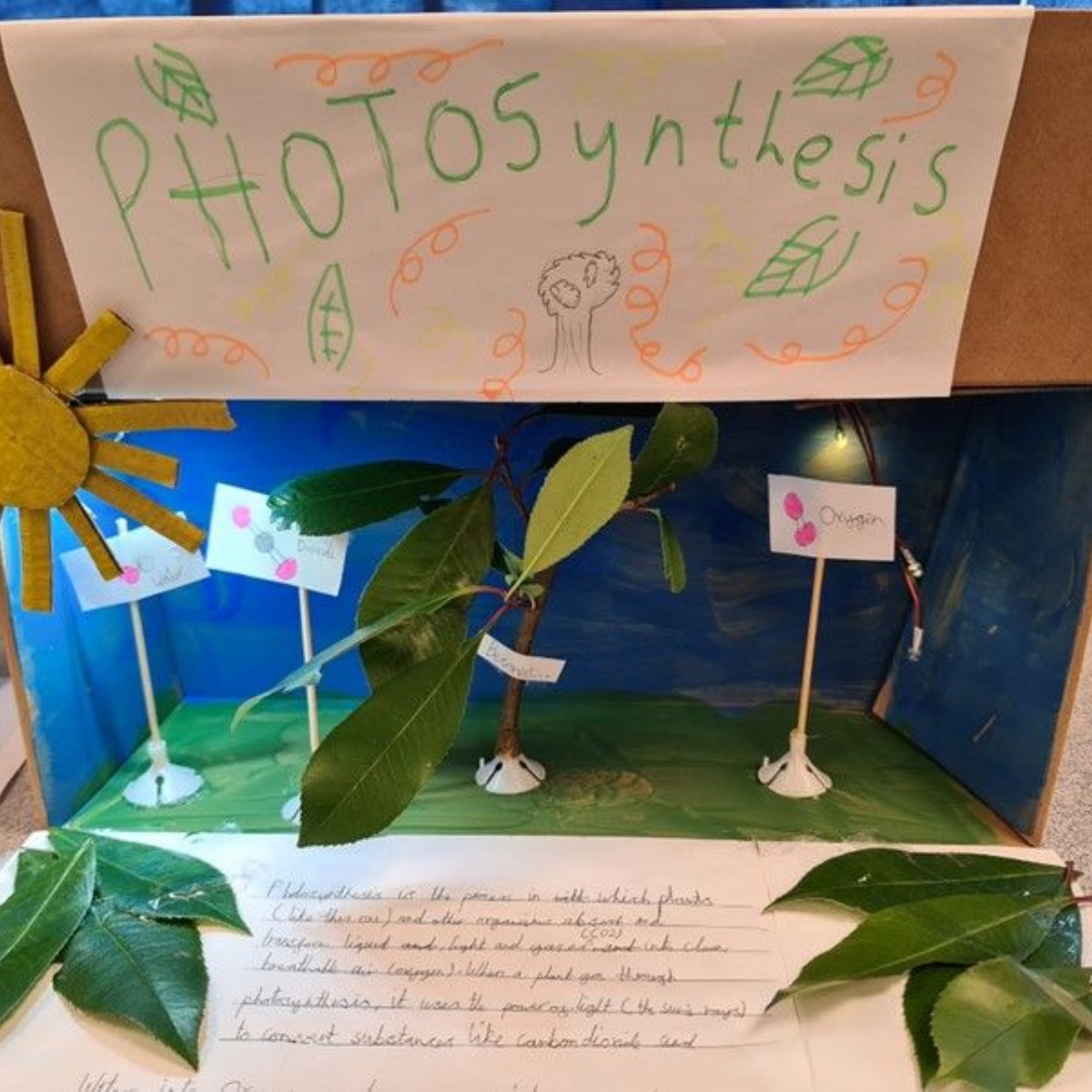 West Hill School - Year 7 Shoebox Science Showdown